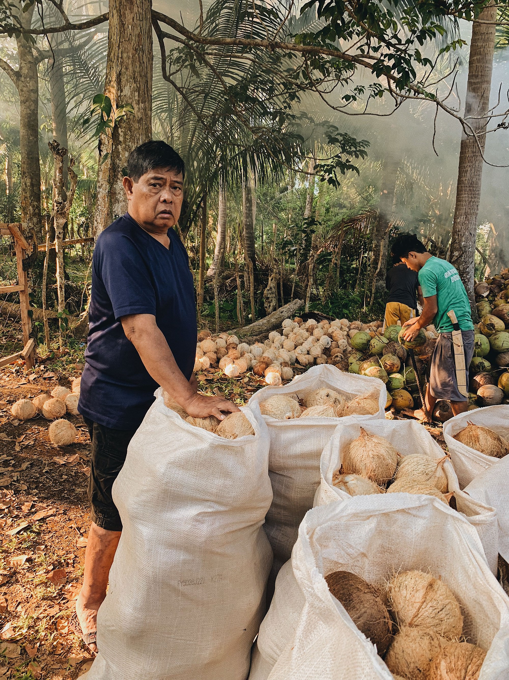 Sorsogon, Philippines – Coconut Farm » Nostalgia on my Mind